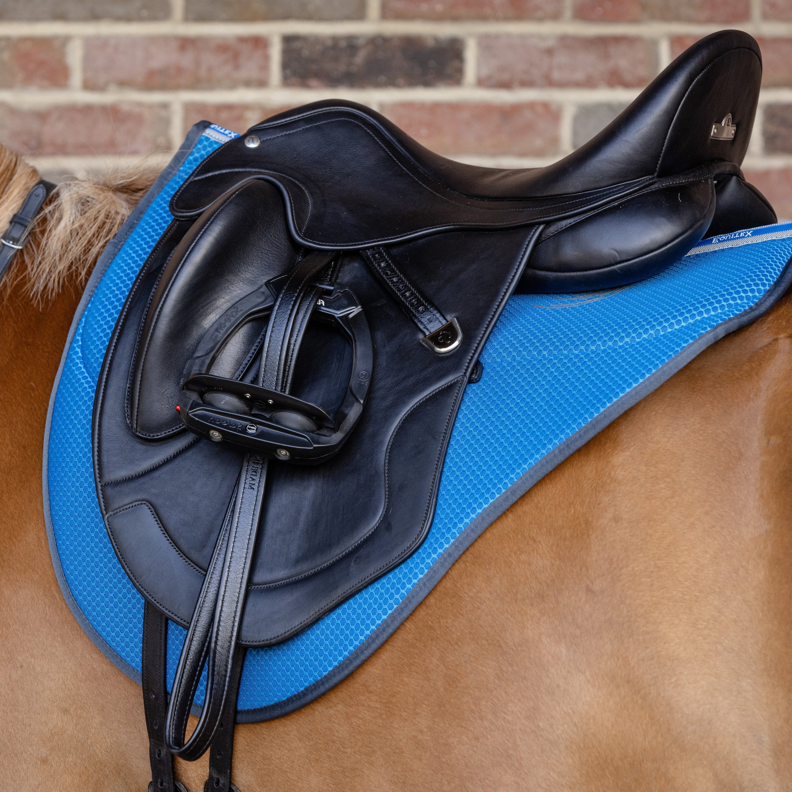 Collections – Equitex