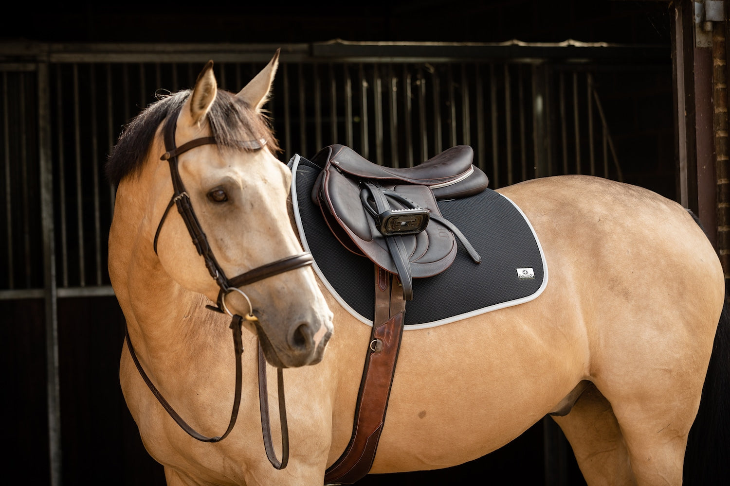 Collections – Equitex