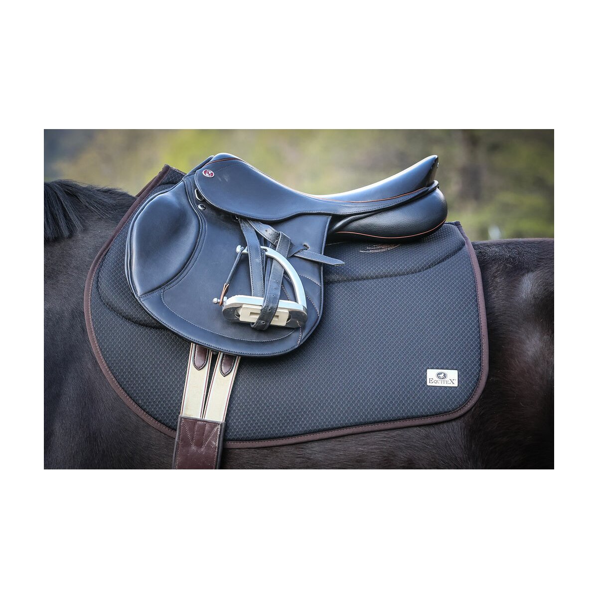 Collections – Equitex