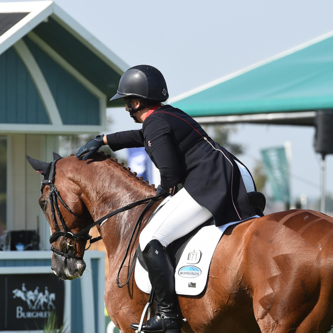 Equitex UK - UK's Favourite Horse Saddle Pad