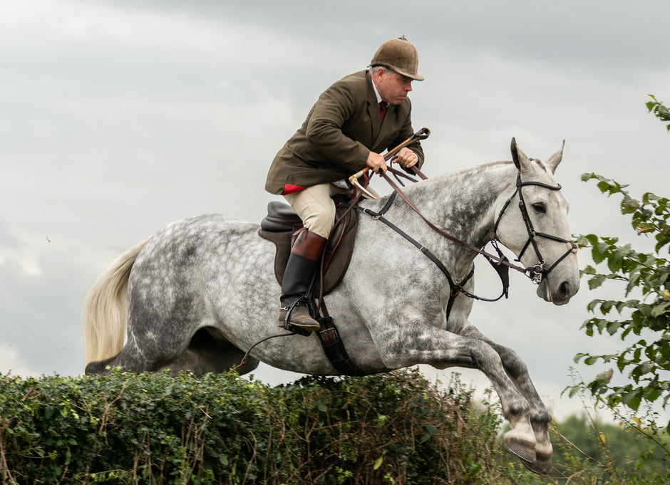Equitex Hunter Saddle Pads | For Working Hunter & Hunting
