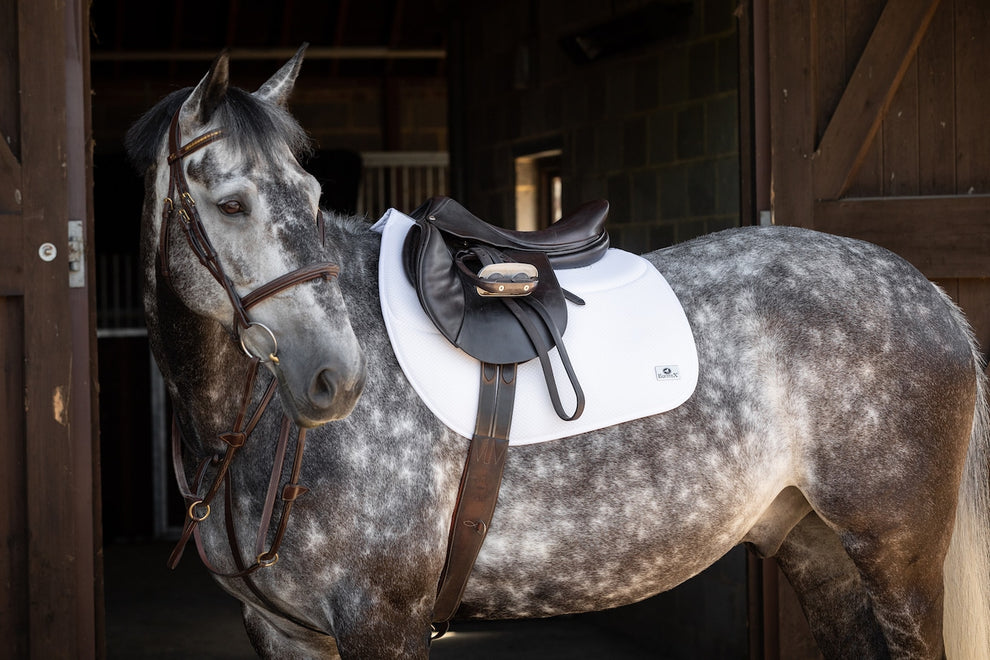 General Purpose Velvet – Equitex