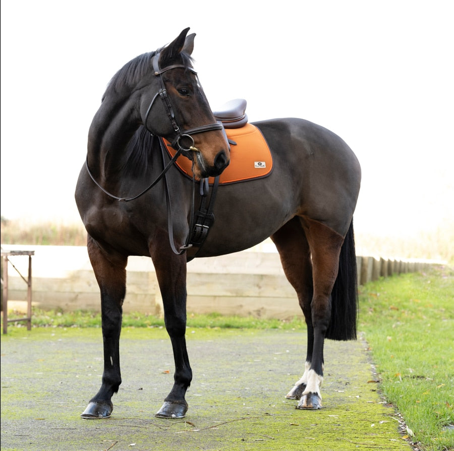 General Purpose Velvet Saddle Pad: Proven Non-Slip – Equitex